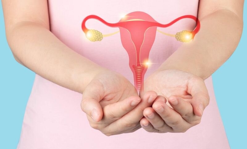 Fallopian Tubes: Location, Anatomy and Function