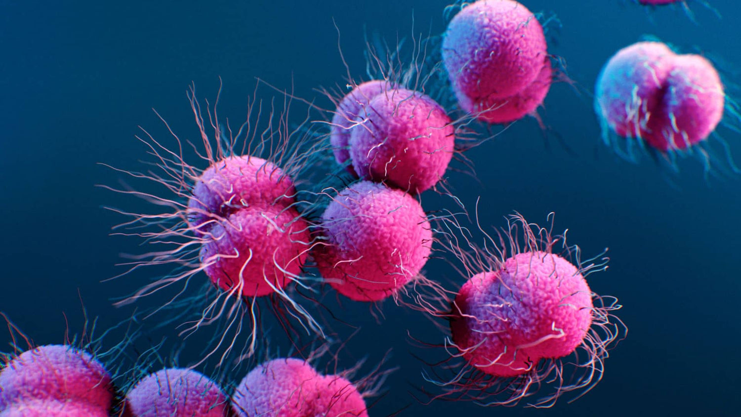 Gonorrhea - Symptoms, Causes, Treatment and More