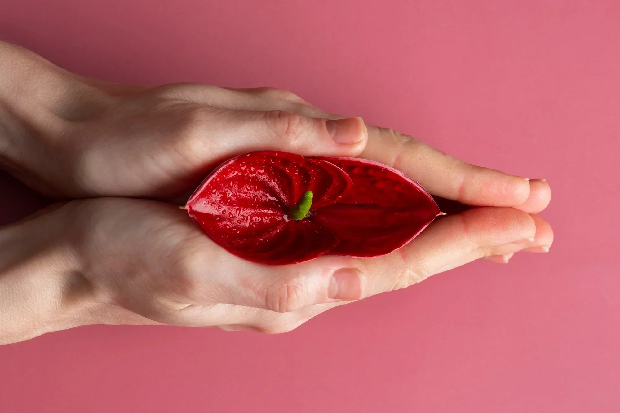 Female Vaginal Part: Exploring Empowerment Through Knowledge
